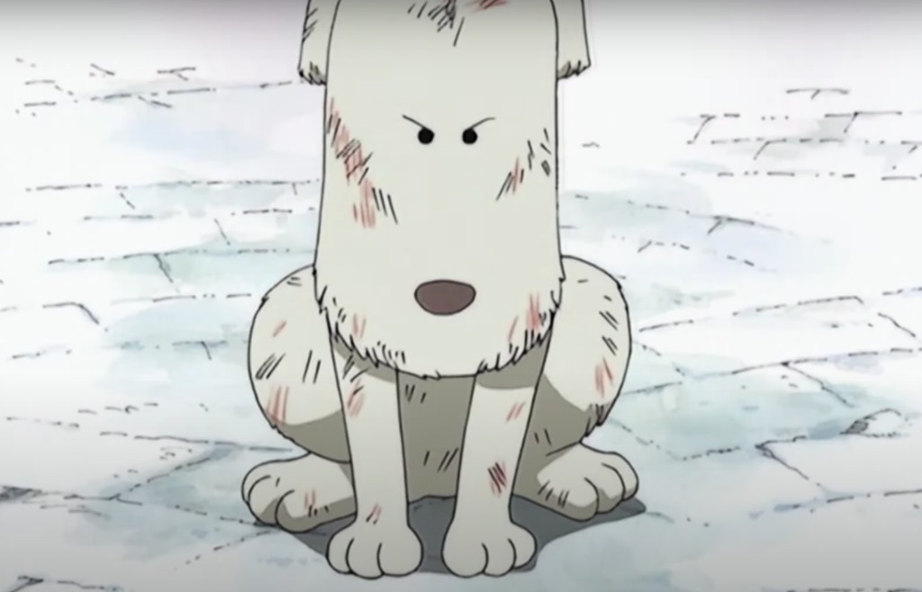 One Piece Showrunner Confirms Chou Chou Live-Action Cameo